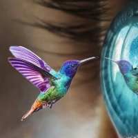 CINDEA Pavón | Registrarse